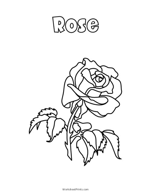 Printable Rose Coloring Page | WorksheetPrints